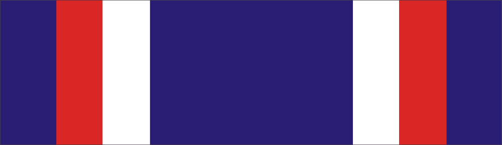 Texas State Guard Association Service Ribbon Decal - Military Graphics